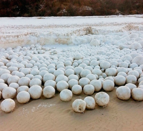 Bolas de nieve marinas - Ciencia Marina y otros asuntos