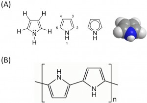Los polipirroles - UPMateriales