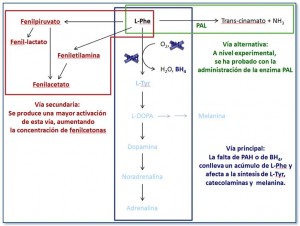 La Fenilcetonuria En Busca De Nuevas Soluciones Patentes Y Marcas
