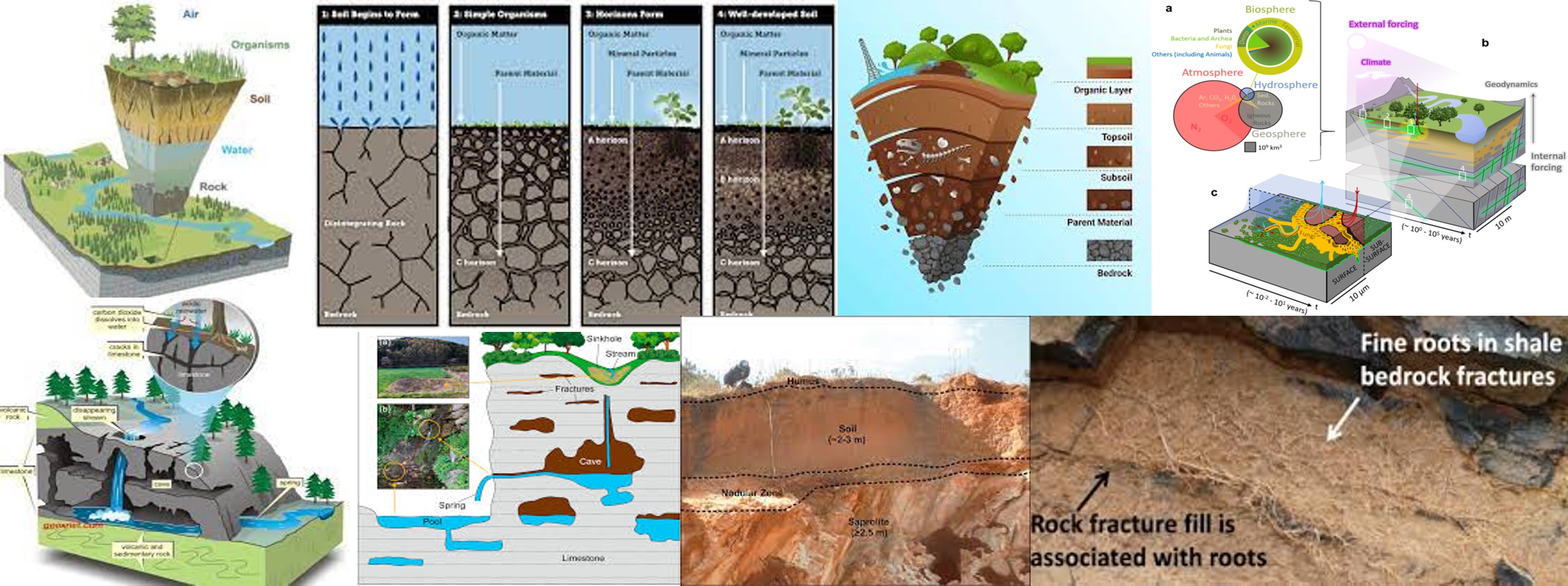 La alteración de las rocas por los microrganismos del suelo y subsuelo ...